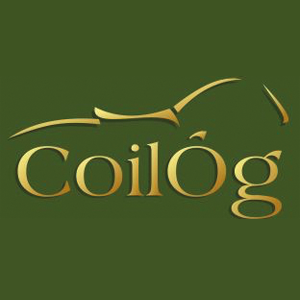 SJILive - ShowJumping Ireland